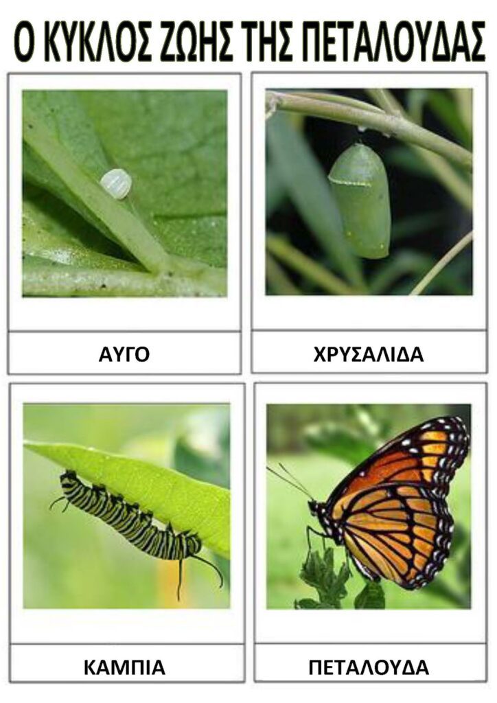 #ΜΕΝΟΥΜΕ ΣΠΙΤΙ# ΠΑΡΑΣΚΕΥΗ 10/4 ΕΩΣ 13/4 – 11 ΝΗΠΙΑΓΩΓΕΙΟ ΧΙΟΥ