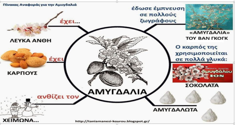 H ΑΜΥΓΔΑΛΙΑ – 11 ΝΗΠΙΑΓΩΓΕΙΟ ΧΙΟΥ